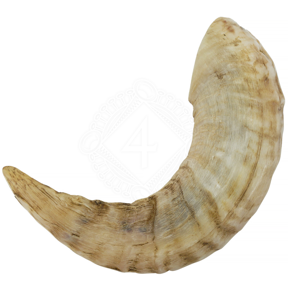 Genuine Natural Ram's Horn (1pc) | Outfit4events