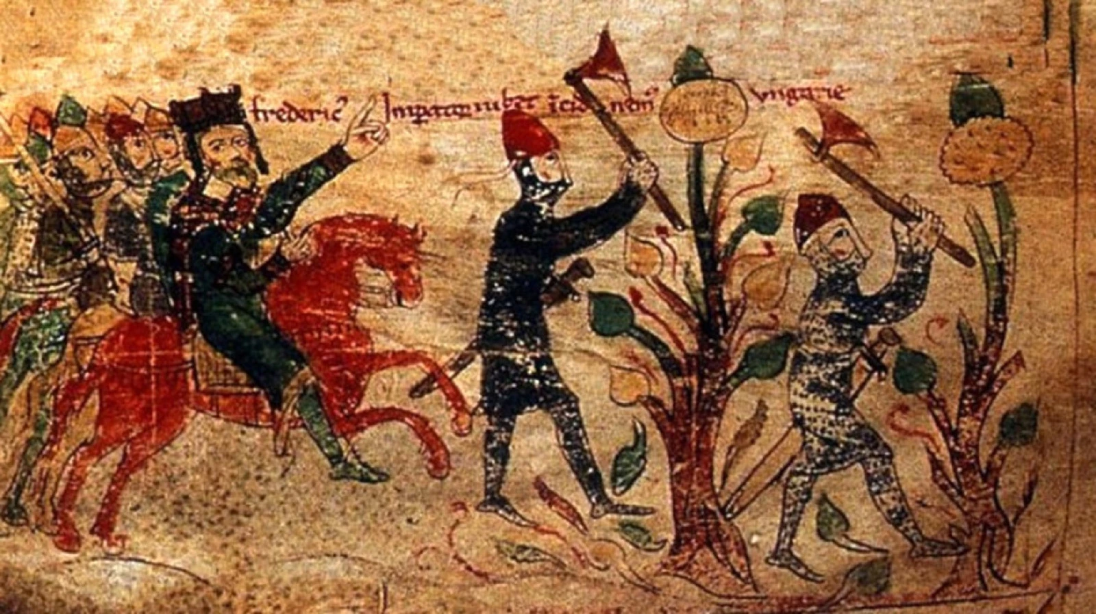 crusader knights orders