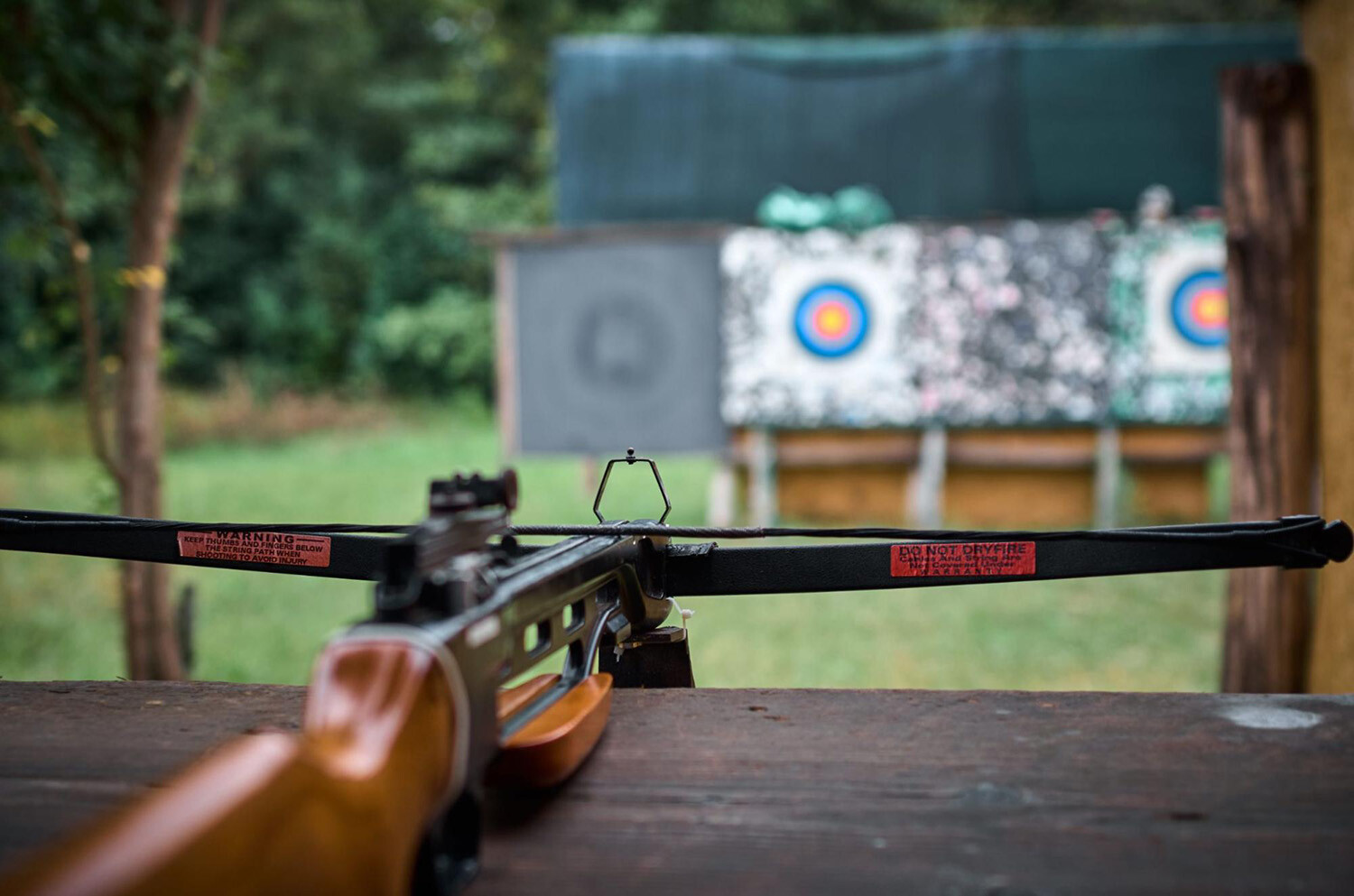 A Crossbow Buyer's Guide | Outfit4events