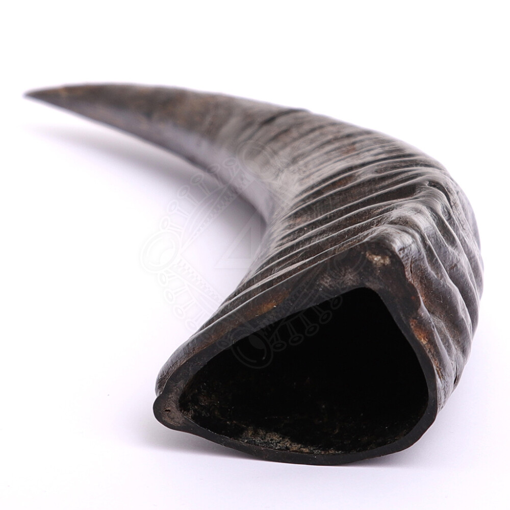 Buffalo Horn, 400ml Drinking Horn | Outfit4events
