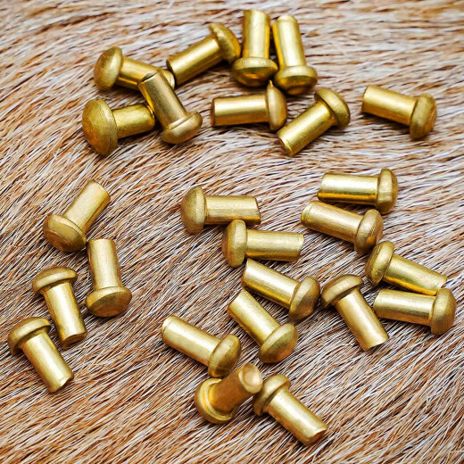 Round Cap Head Solid Brass Rivets DIN 660 DIA M4 x 6mm (25pcs ...