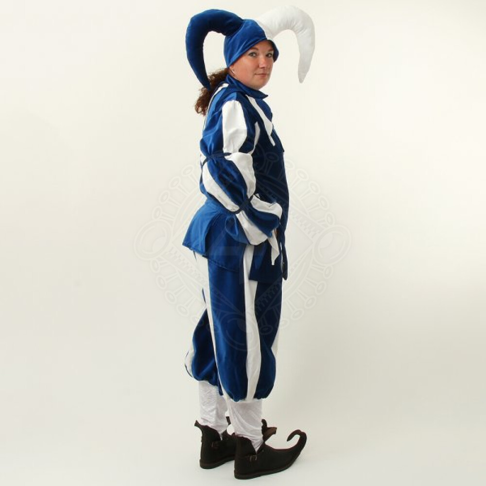 Medieval jester costume Andre - S 154cm | Outfit4events