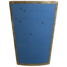 Heavy infantry shield, so called. War-Door shield | Outfit4events