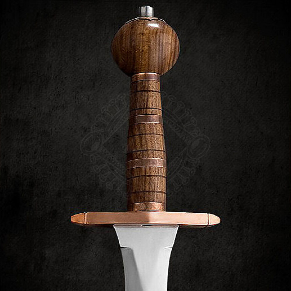 Sword of Troy | Outfit4events