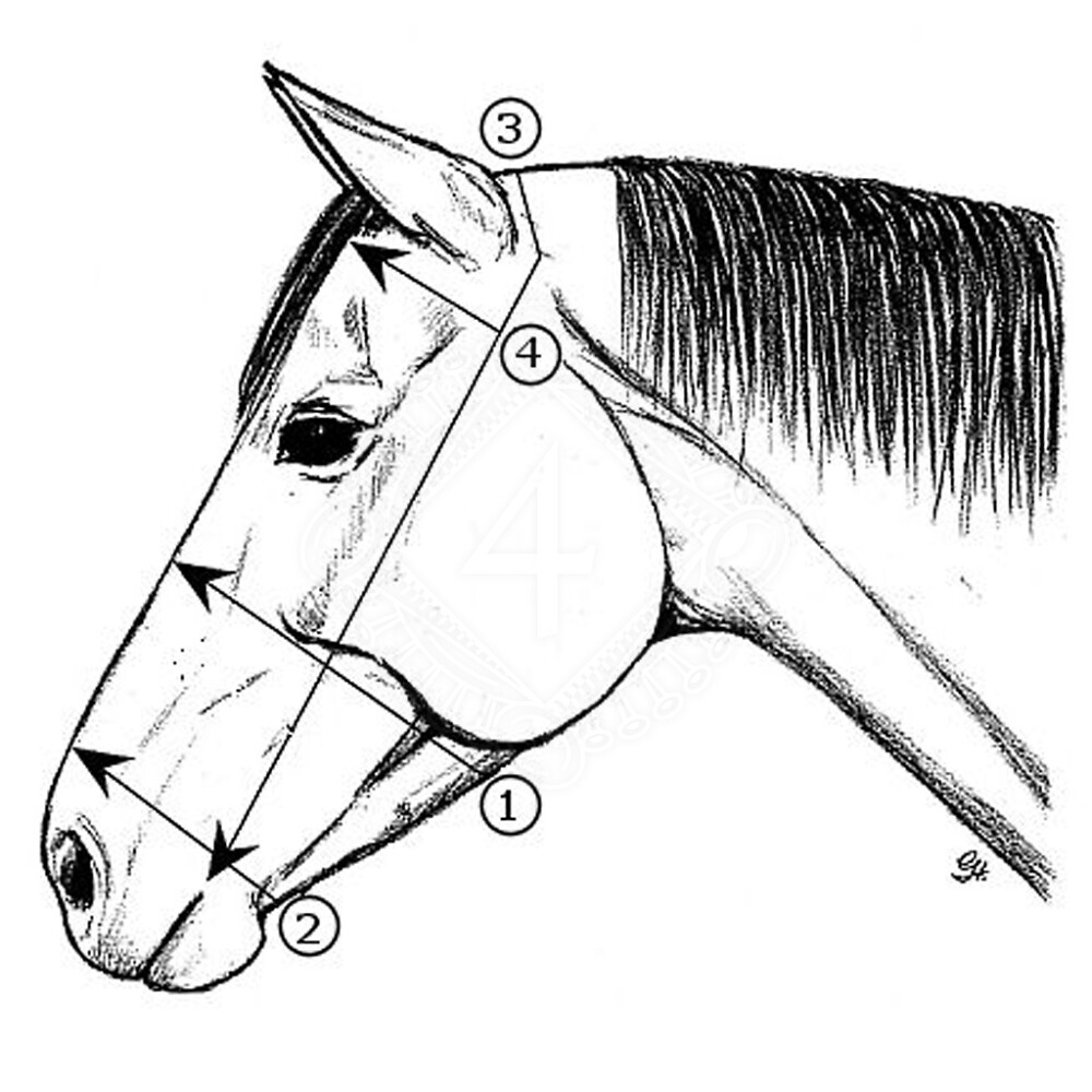 Chamfron, horse's face protector, 11th century | Outfit4events